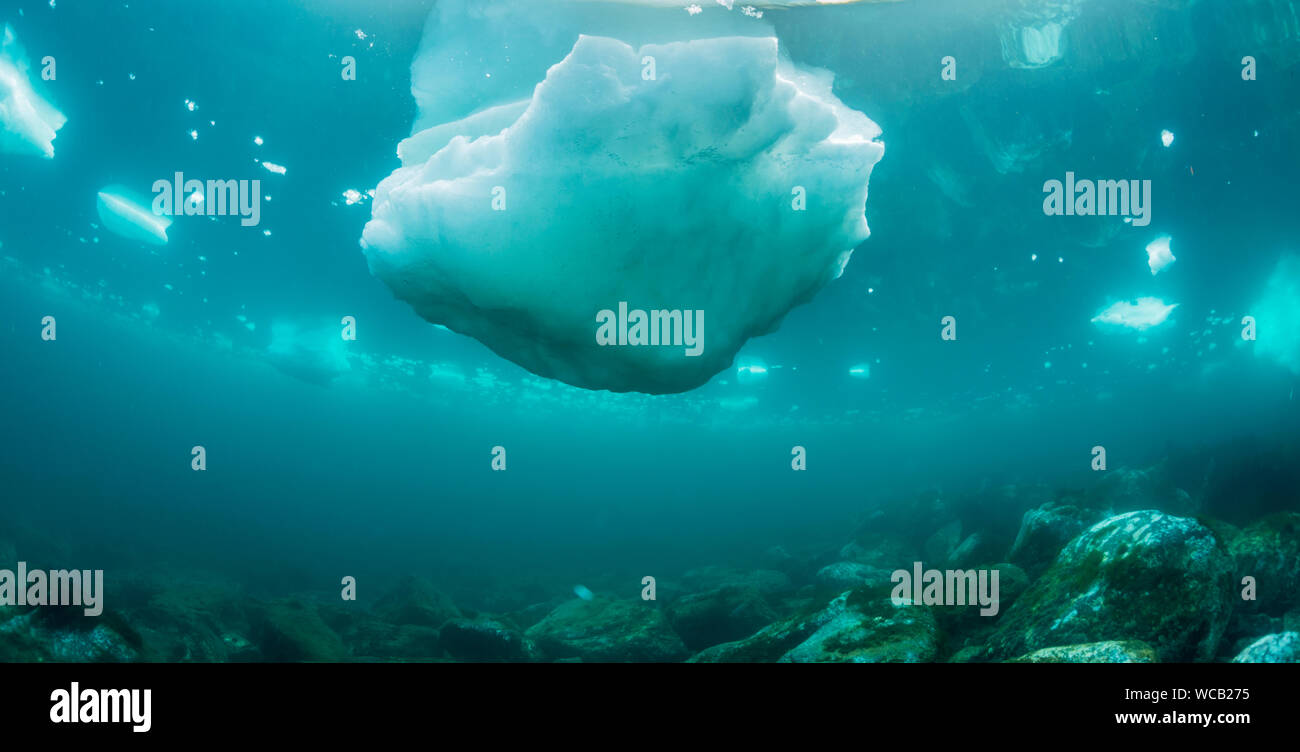 Drift ice,underwater view,in Rausu,Hokkaido,Japan Stock Photo - Alamy