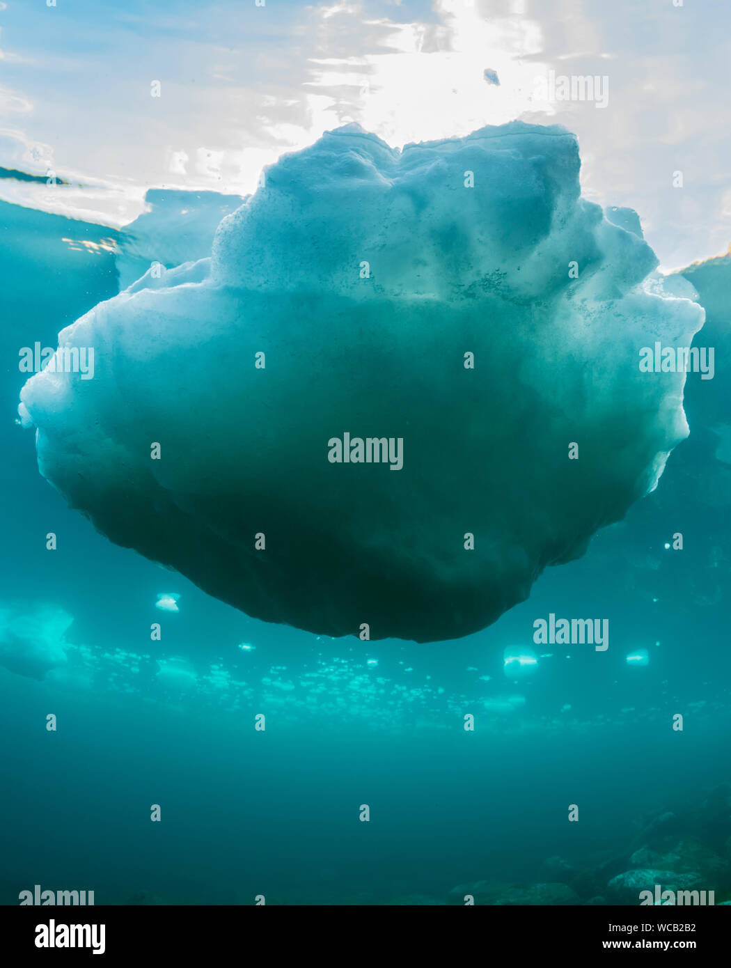 Drift ice,underwater view,in Rausu,Hokkaido,Japan Stock Photo - Alamy