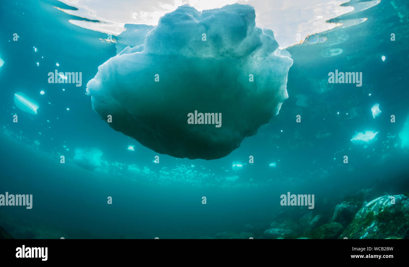 Drift ice,underwater view,in Rausu,Hokkaido,Japan Stock Photo - Alamy