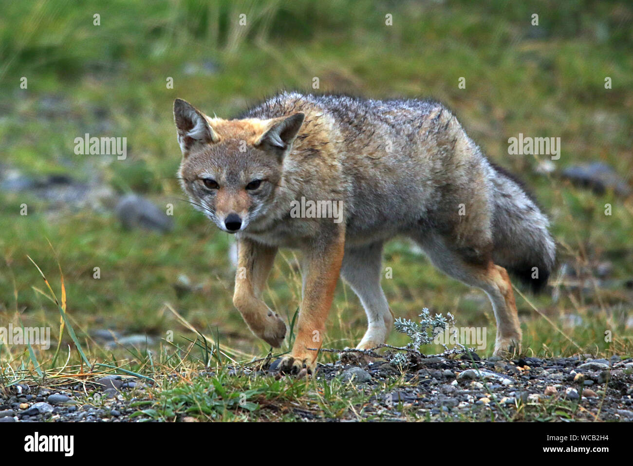 Puerto del tierra hi-res stock photography and images - Alamy