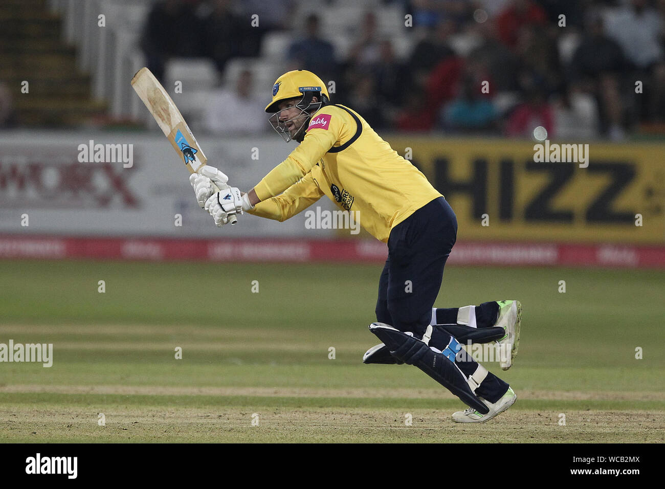 Cricket lamb hi-res stock photography and images - Alamy