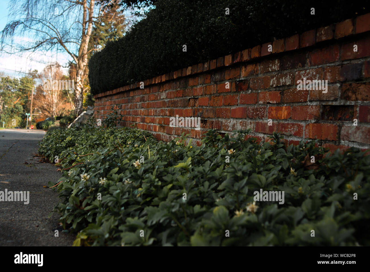 Retaining hedge hi-res stock photography and images - Alamy