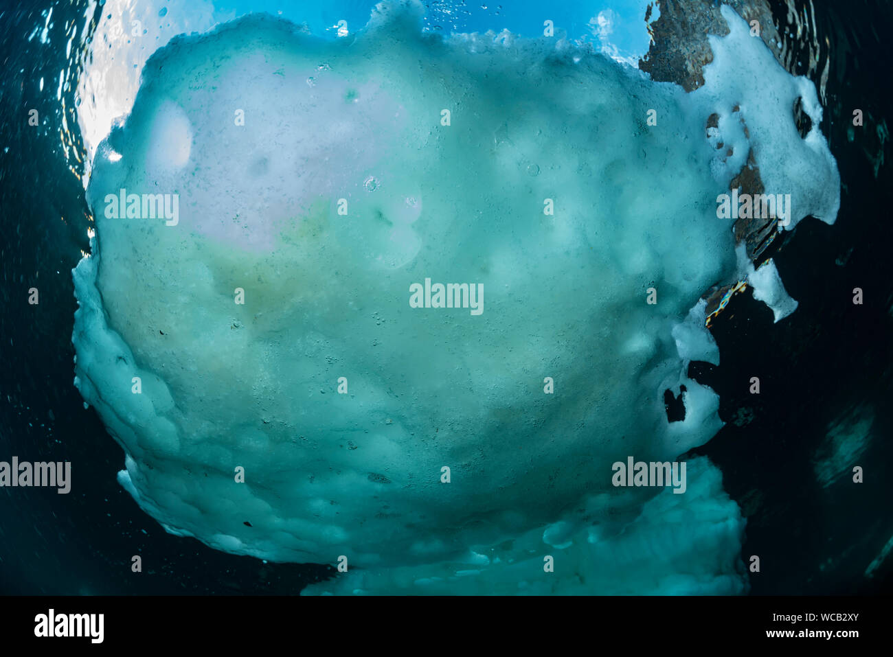Drift ice,underwater view,in Rausu,Hokkaido,Japan Stock Photo - Alamy