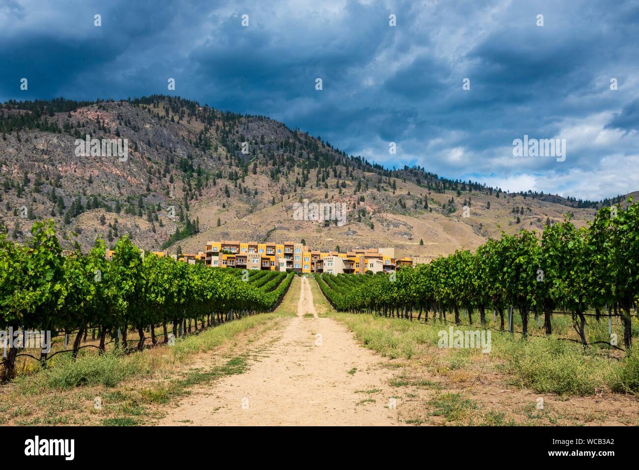 South okanagan valley hi-res stock photography and images - Alamy