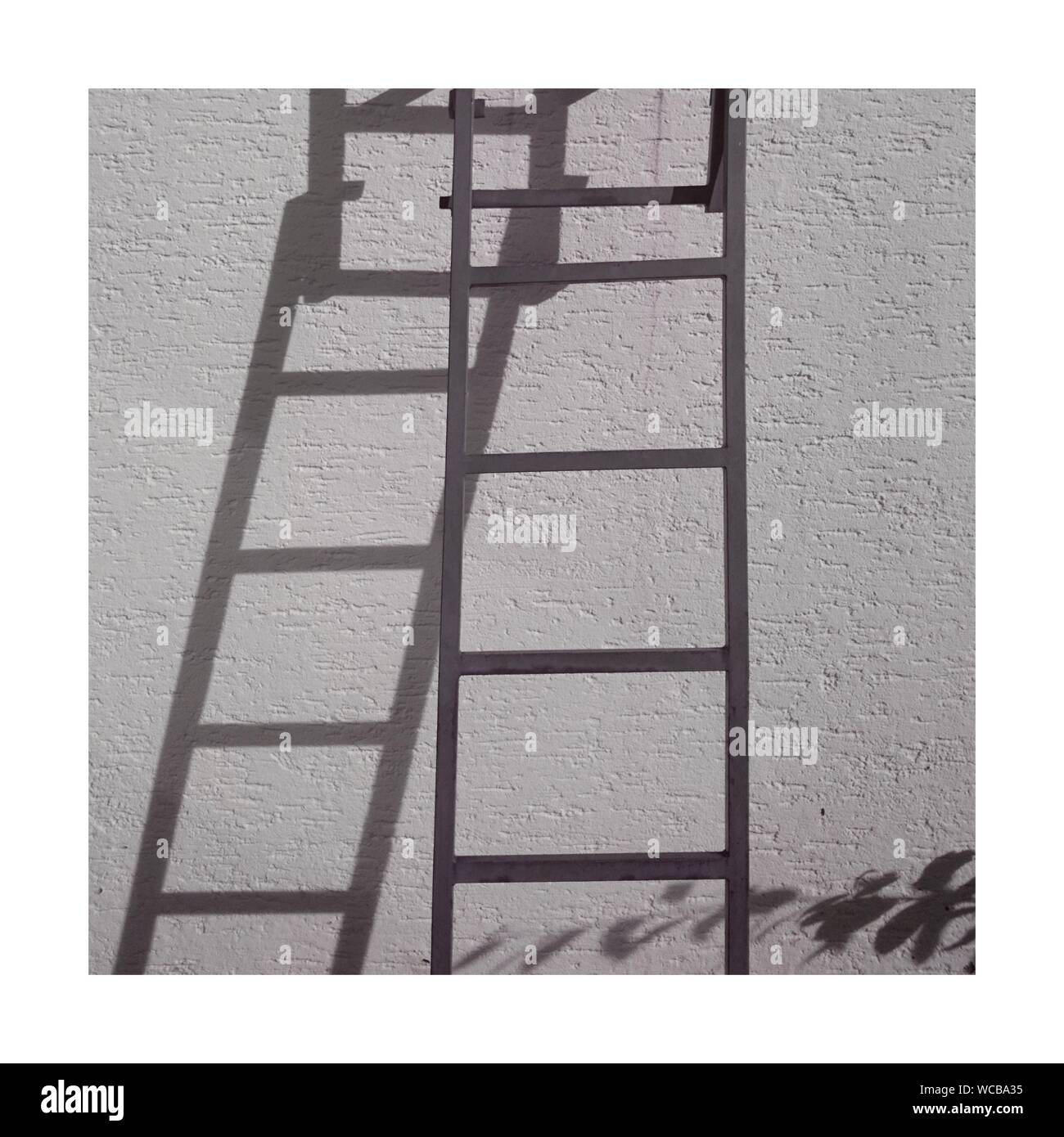 Ladder against wall Cut Out Stock Images & Pictures - Alamy