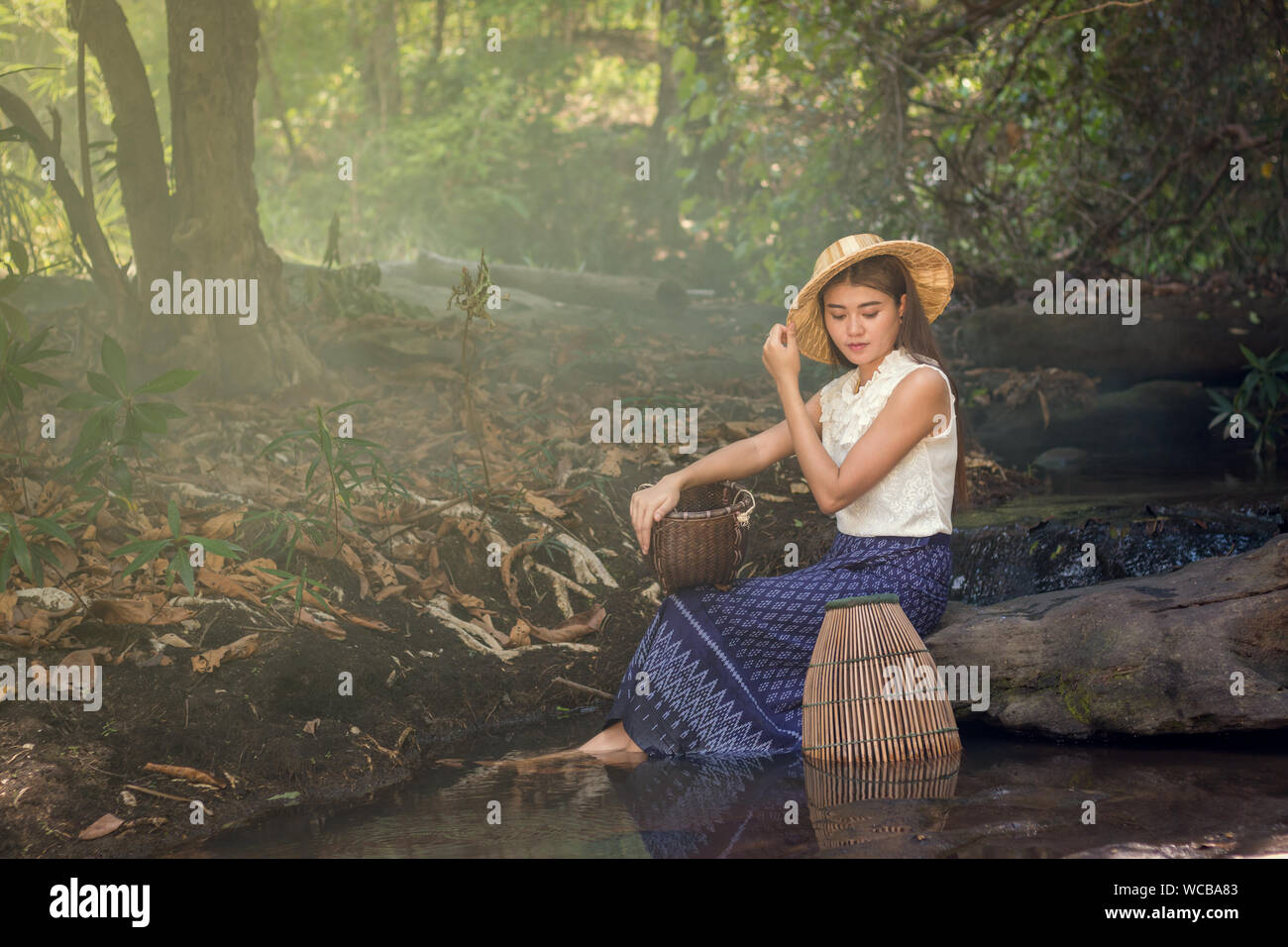 Indian tree trunk hi-res stock photography and images - Alamy