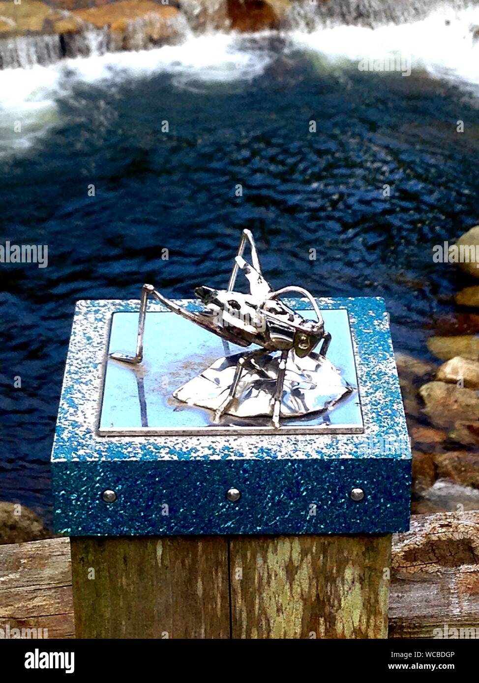 Creativity insect hi-res stock photography and images - Alamy