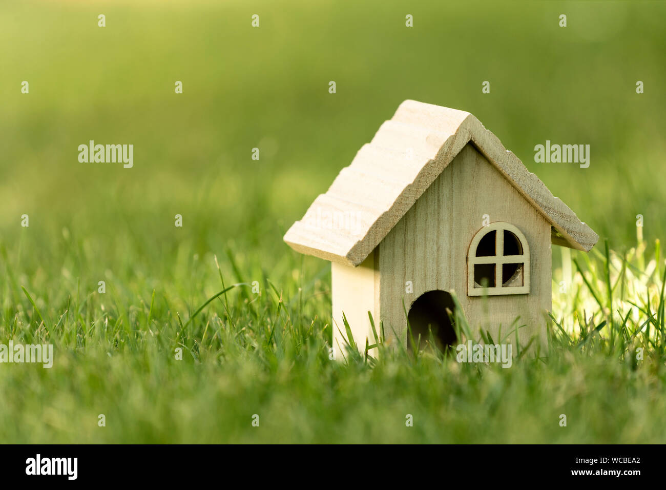 Little house on grass in sun light Stock Photo - Alamy