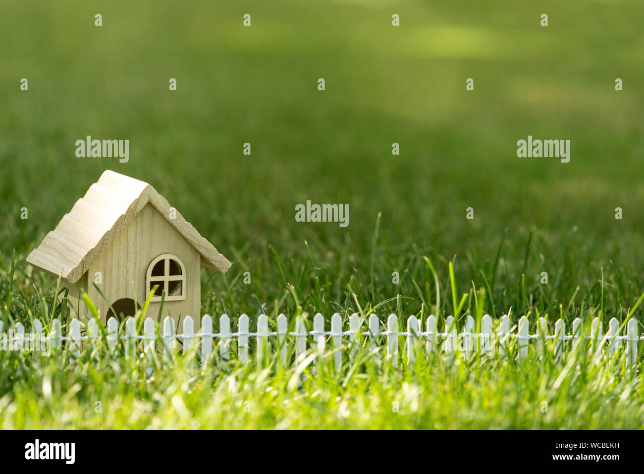 Little house on grass in sun light Stock Photo - Alamy
