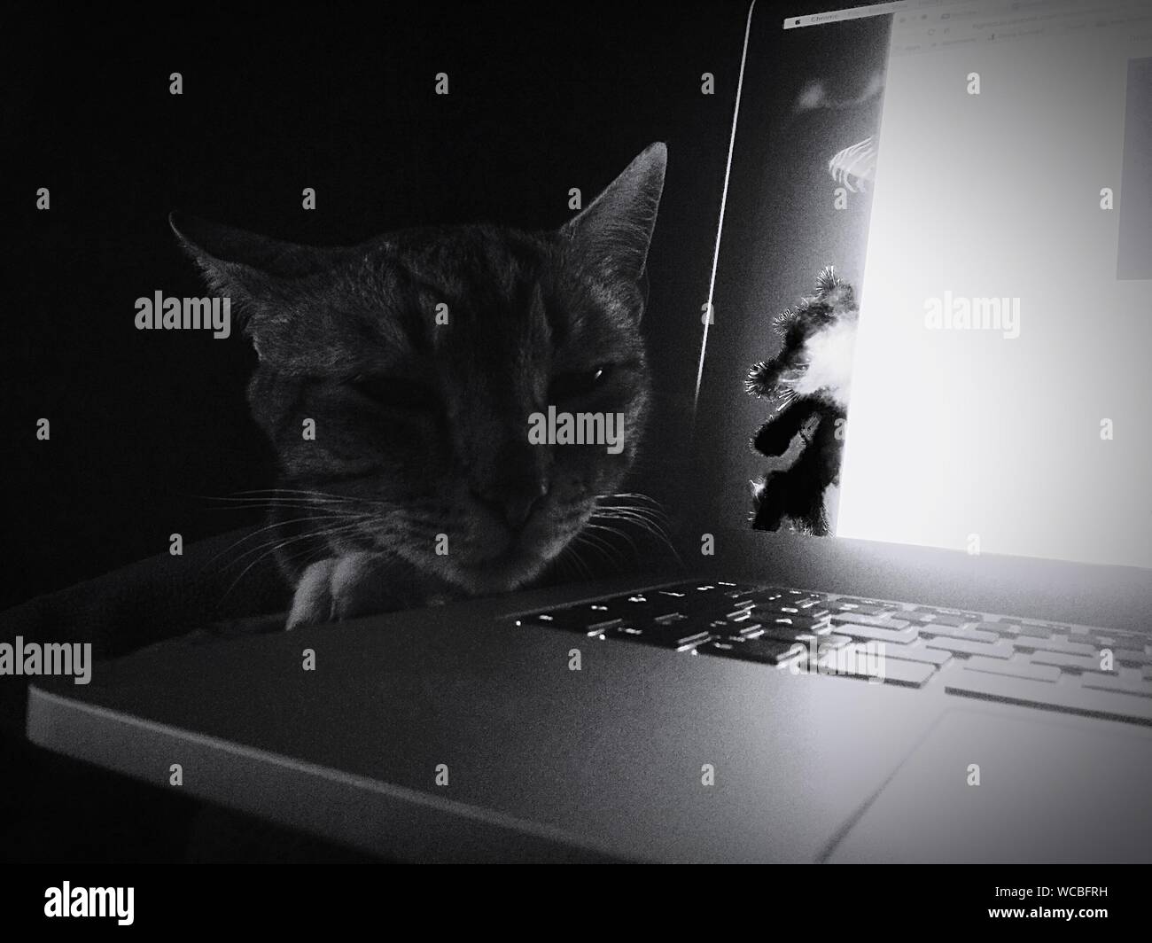 Darkroom laptop hi-res stock photography and images - Alamy