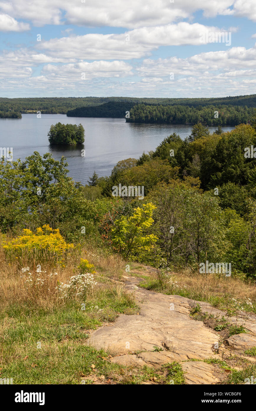 Summer scenery from Lion’s Lookout over Fairy Lake in Huntsville Muskoka Stock Photo - Alamy