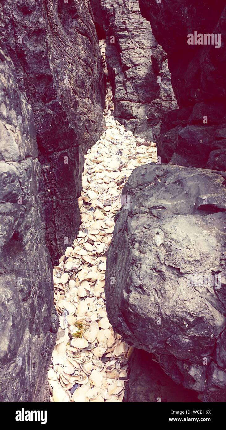 Narrow Shot High Resolution Stock Photography and Images - Alamy