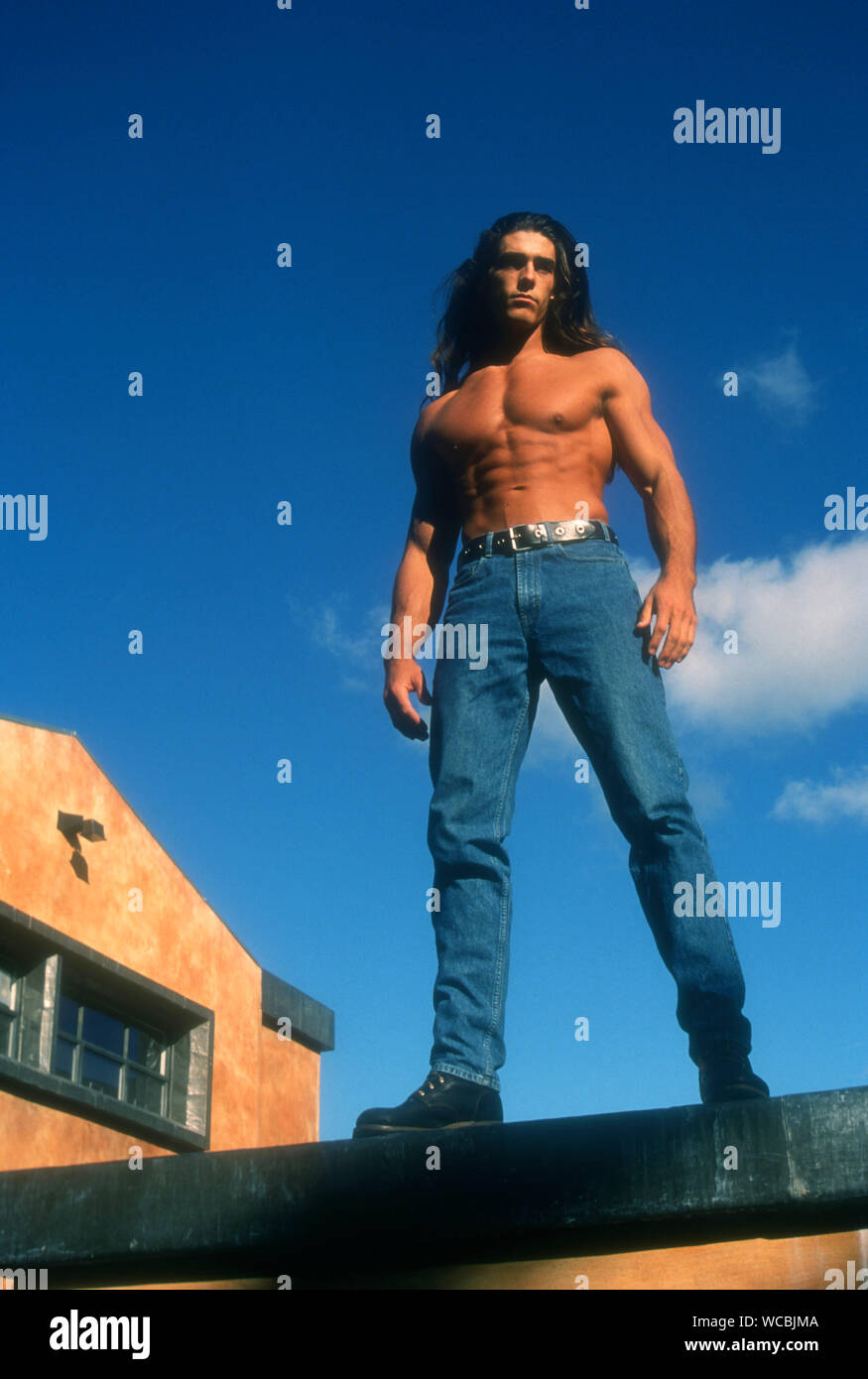 Los Angeles, California, USA 10th November 1994 (Exclusive) Actor Tim ...