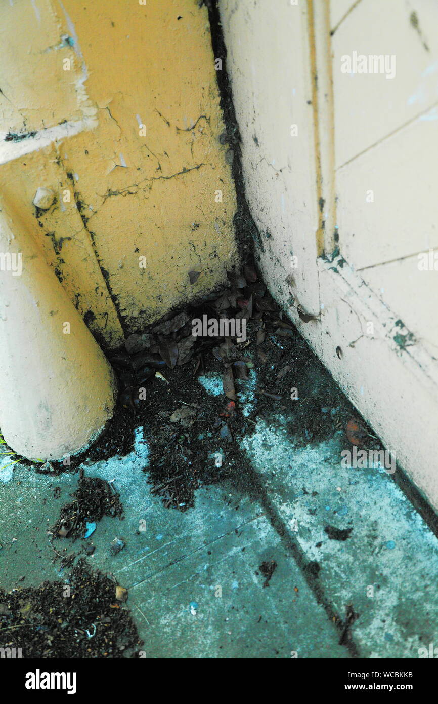 Messy leaves hi-res stock photography and images - Alamy