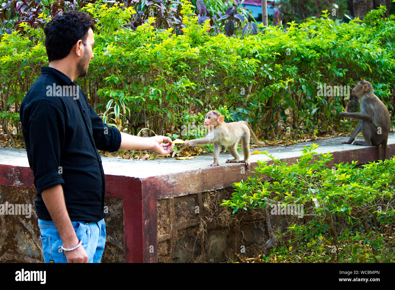 Food giving hi-res stock photography and images - Alamy