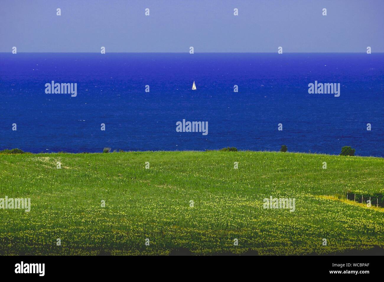 Tes hi-res stock photography and images - Alamy