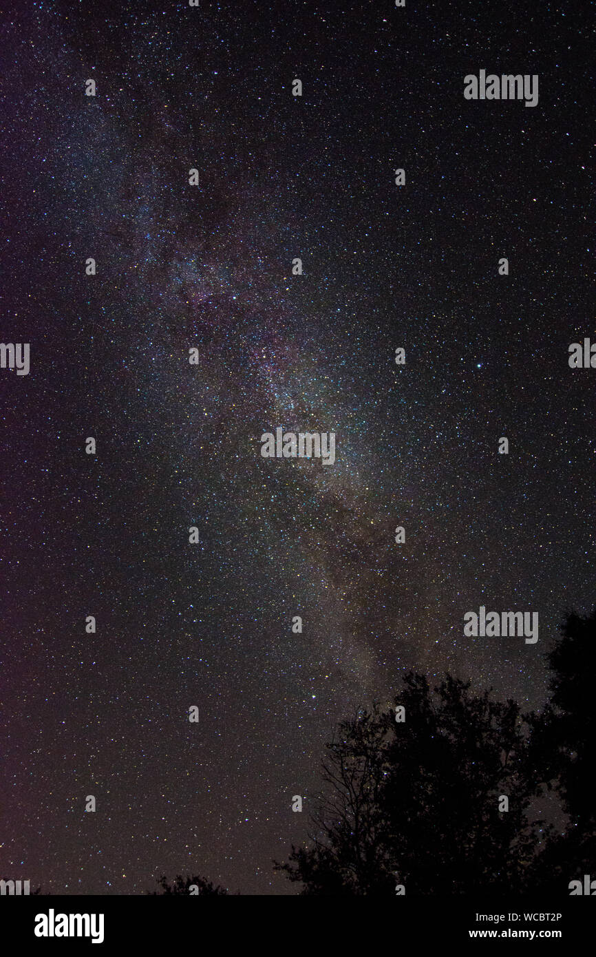 Milky way night under a tree Stock Photo - Alamy