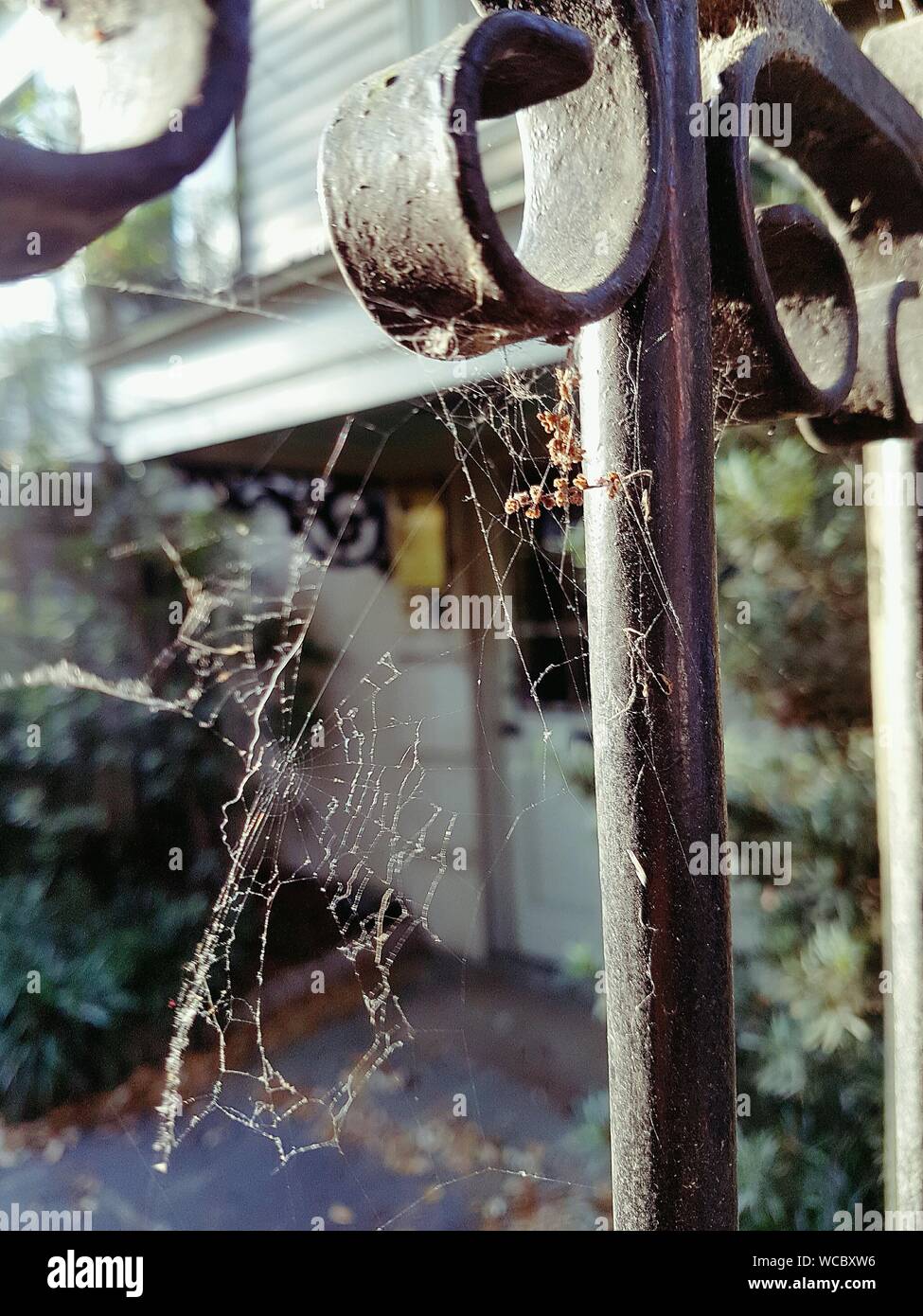 Spider gate hi-res stock photography and images - Alamy