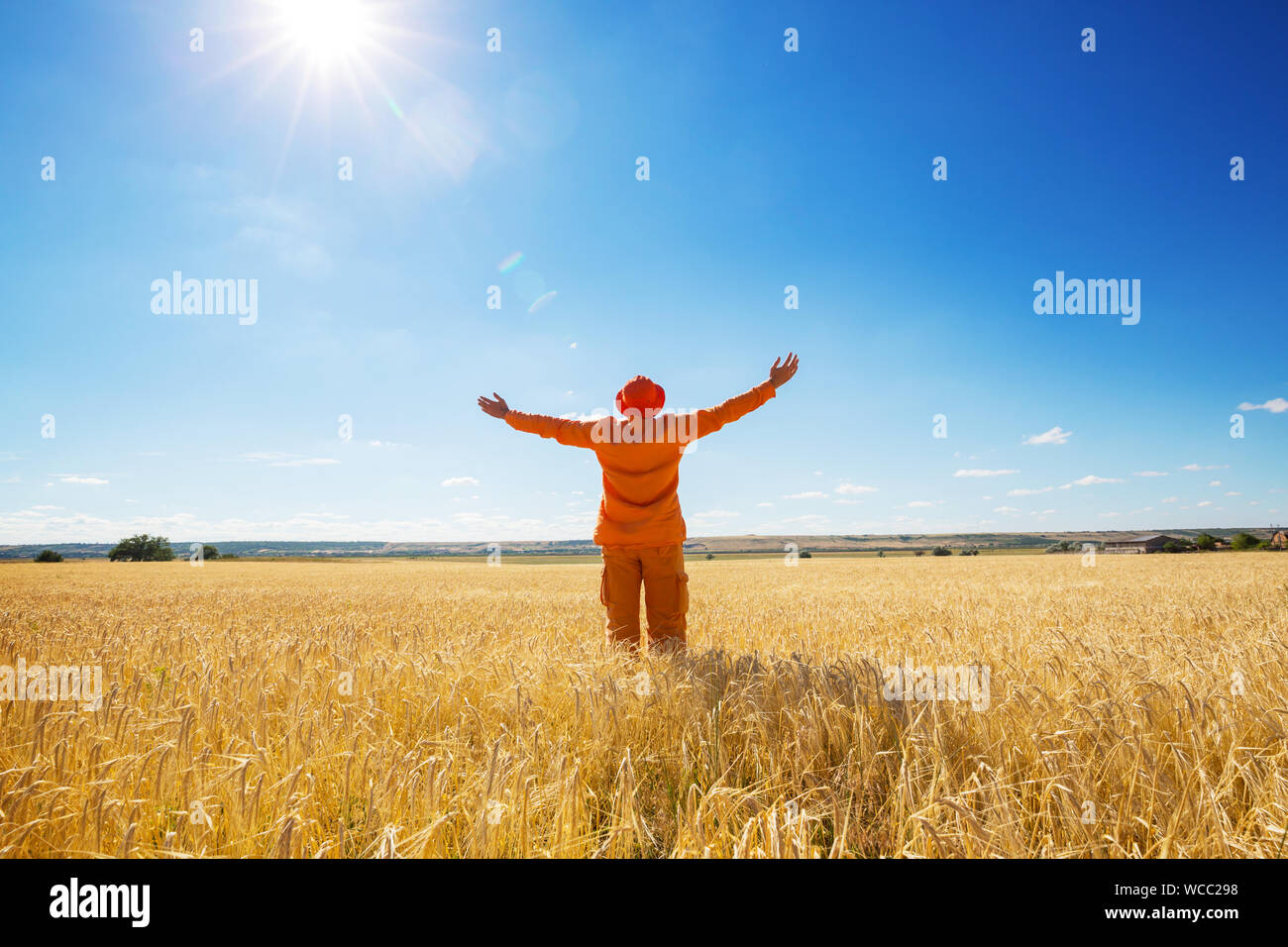 Happy man in yellow wheat field Stock Photo - Alamy