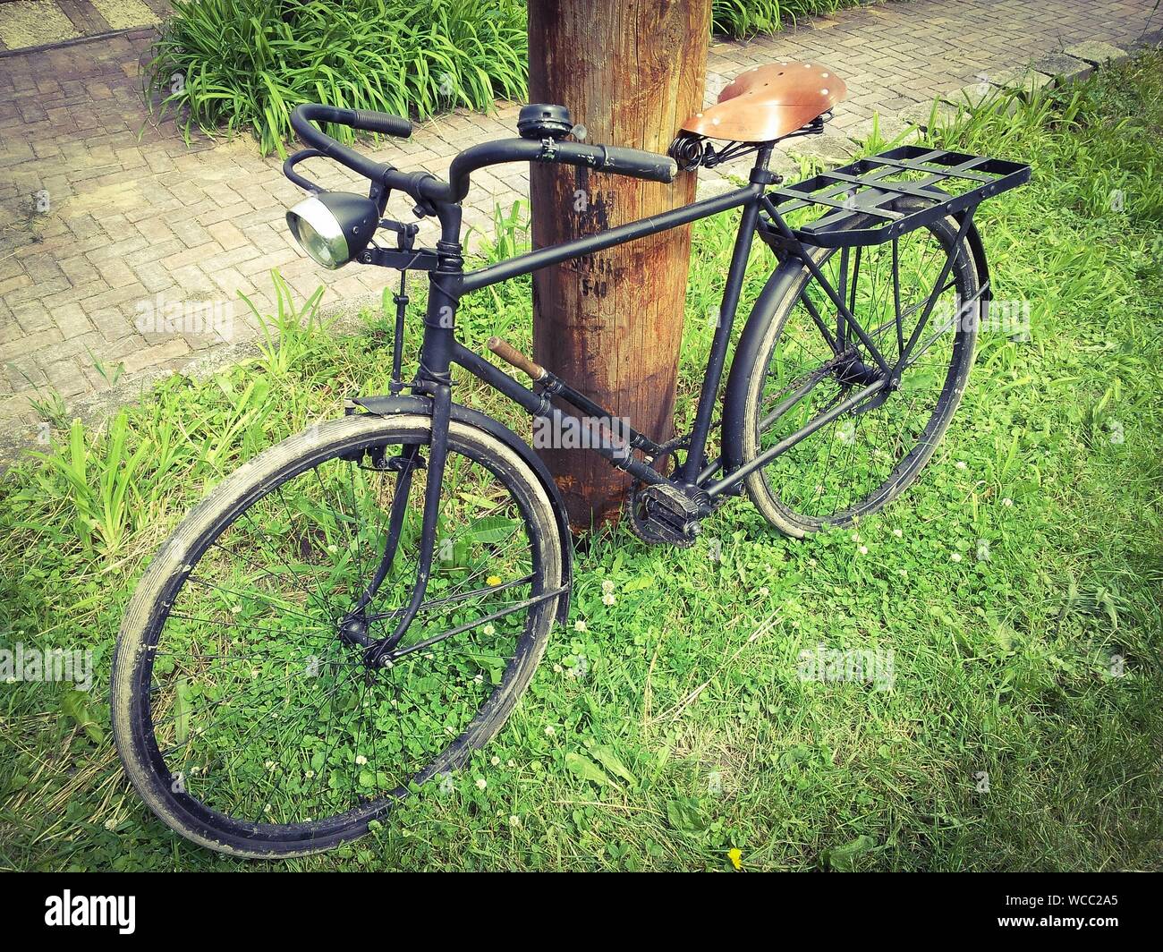 Bicycle leaning against tree hi-res stock photography and images - Alamy