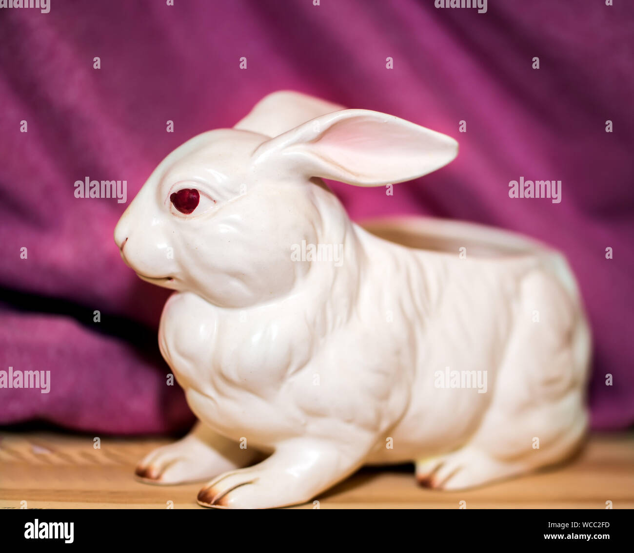 White bunny pink eyes hi-res stock photography and images - Alamy