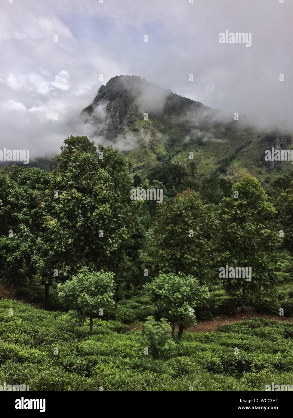 Ella rock mountain hi-res stock photography and images - Alamy