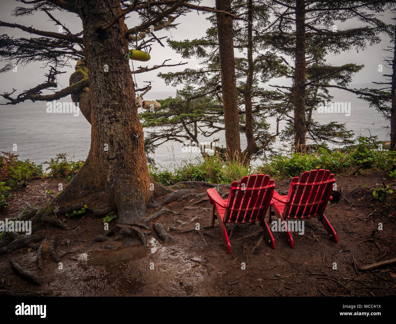 Red chairs along the west coast trail in Pacific Rim National Park in ...