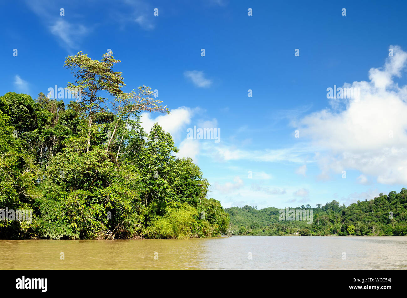 Scenic view of wild tropical jungle on the East Kalimantan, Indonesia ...