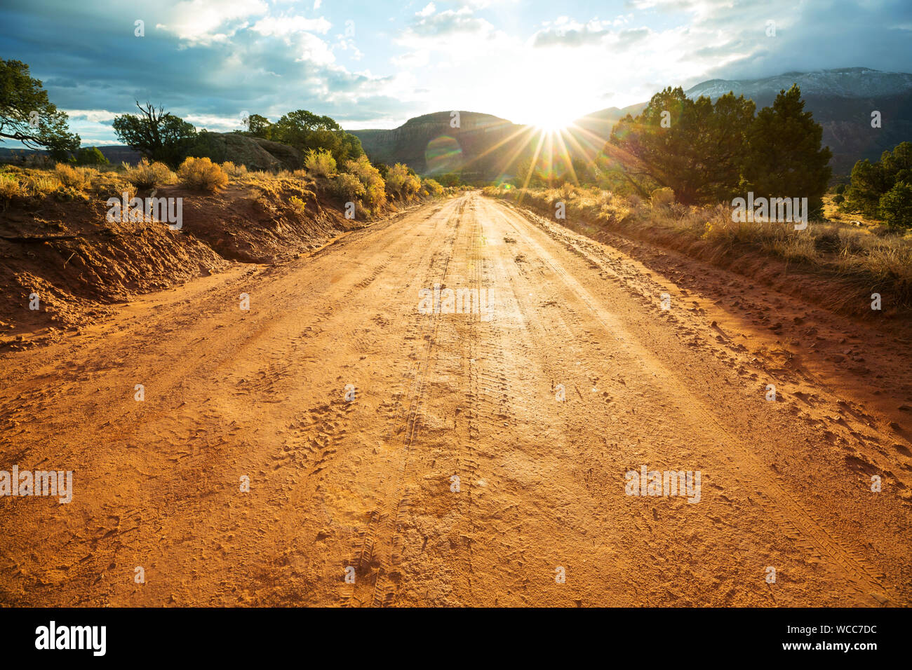 Road in the prairie country Stock Photo - Alamy