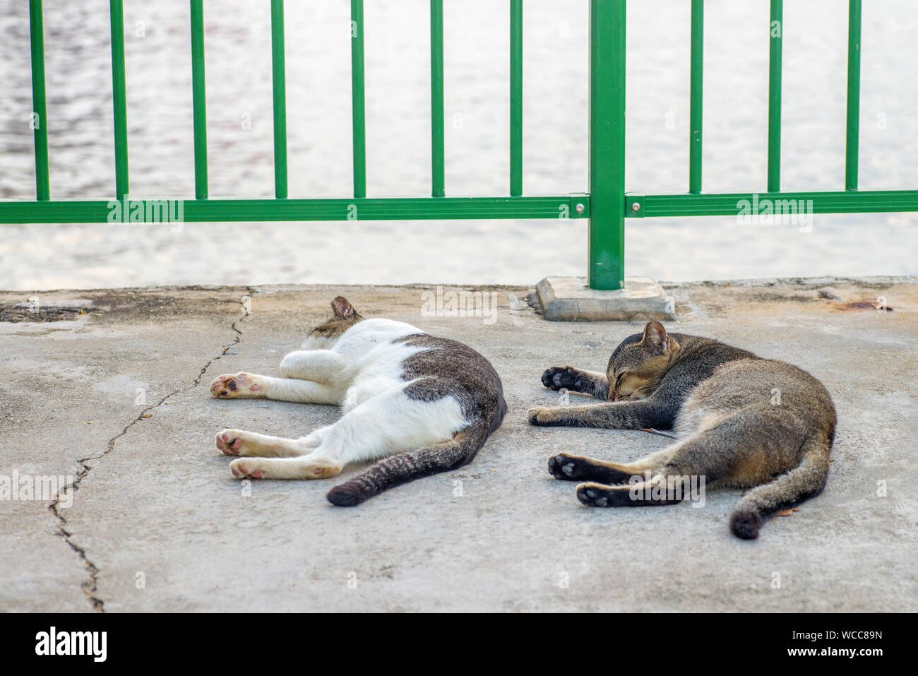 Beach railing hi-res stock photography and images - Alamy