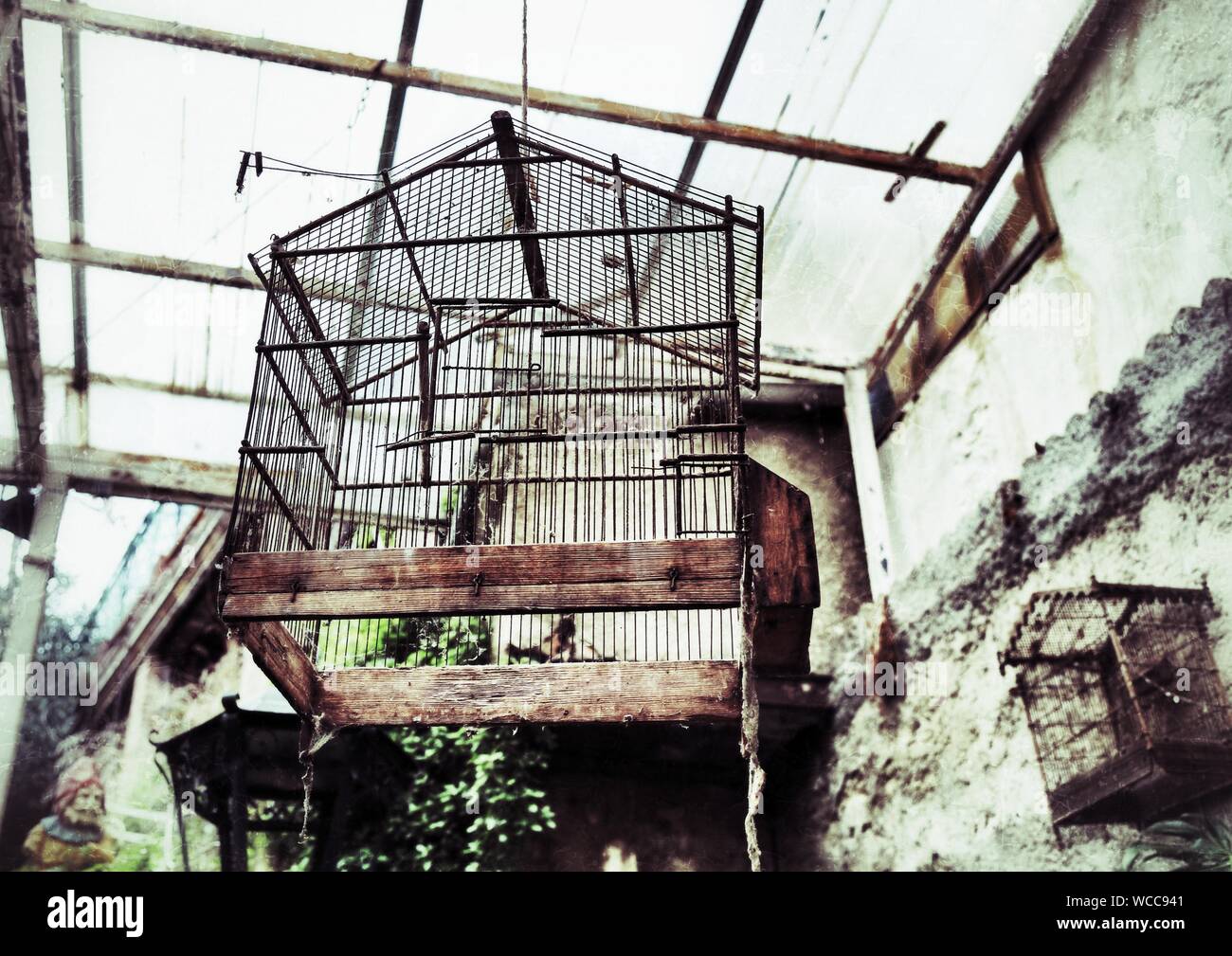 Broken cage hi-res stock photography and images - Alamy