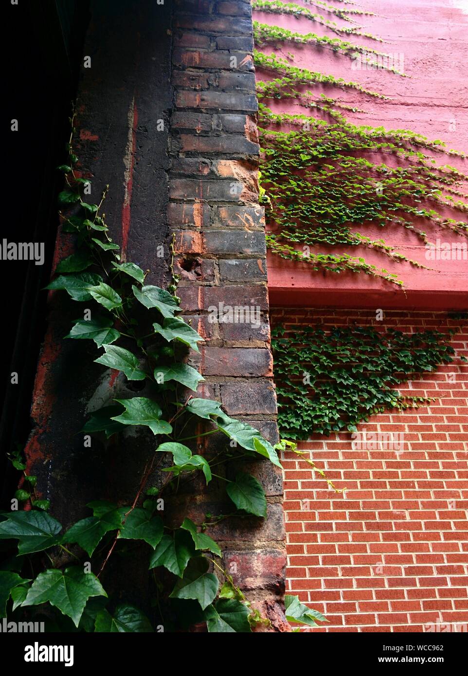 Red brick plant hi-res stock photography and images - Alamy