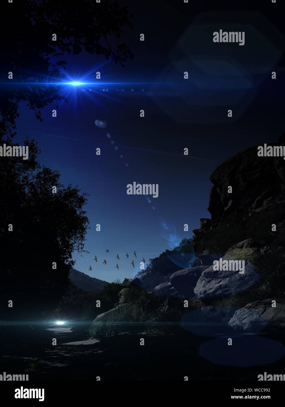 Large bird at night hi-res stock photography and images - Alamy