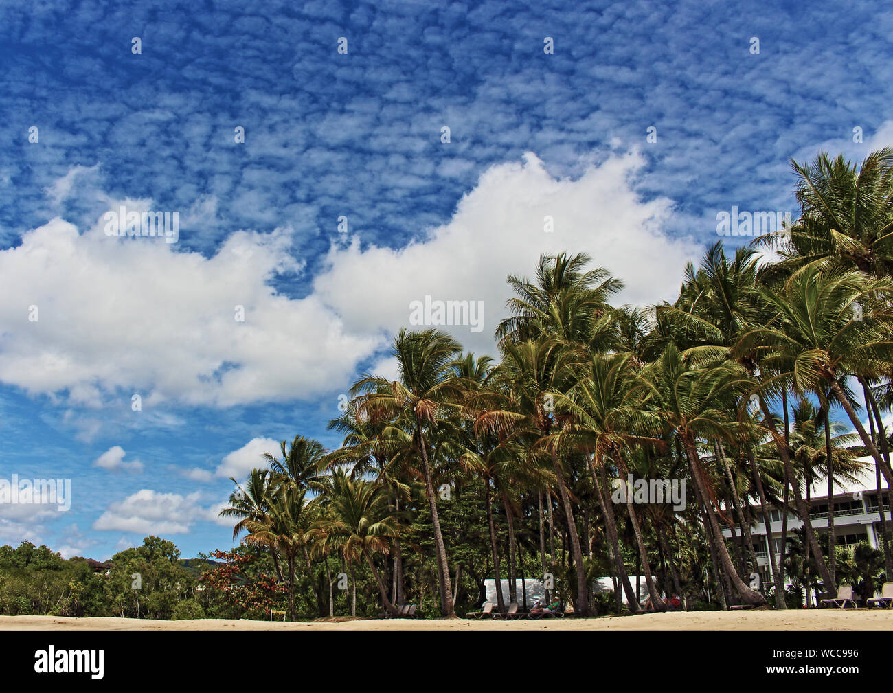 Coconut grove beach resort hi-res stock photography and images - Alamy
