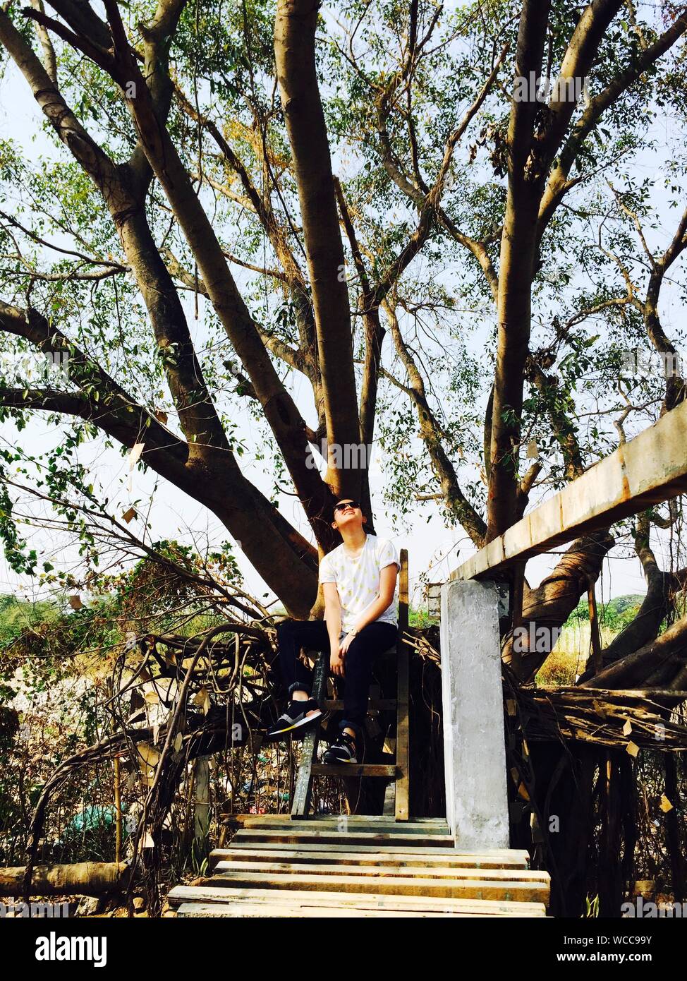 Woman Sitting Against Tree Trunk High Resolution Stock Photography and ...