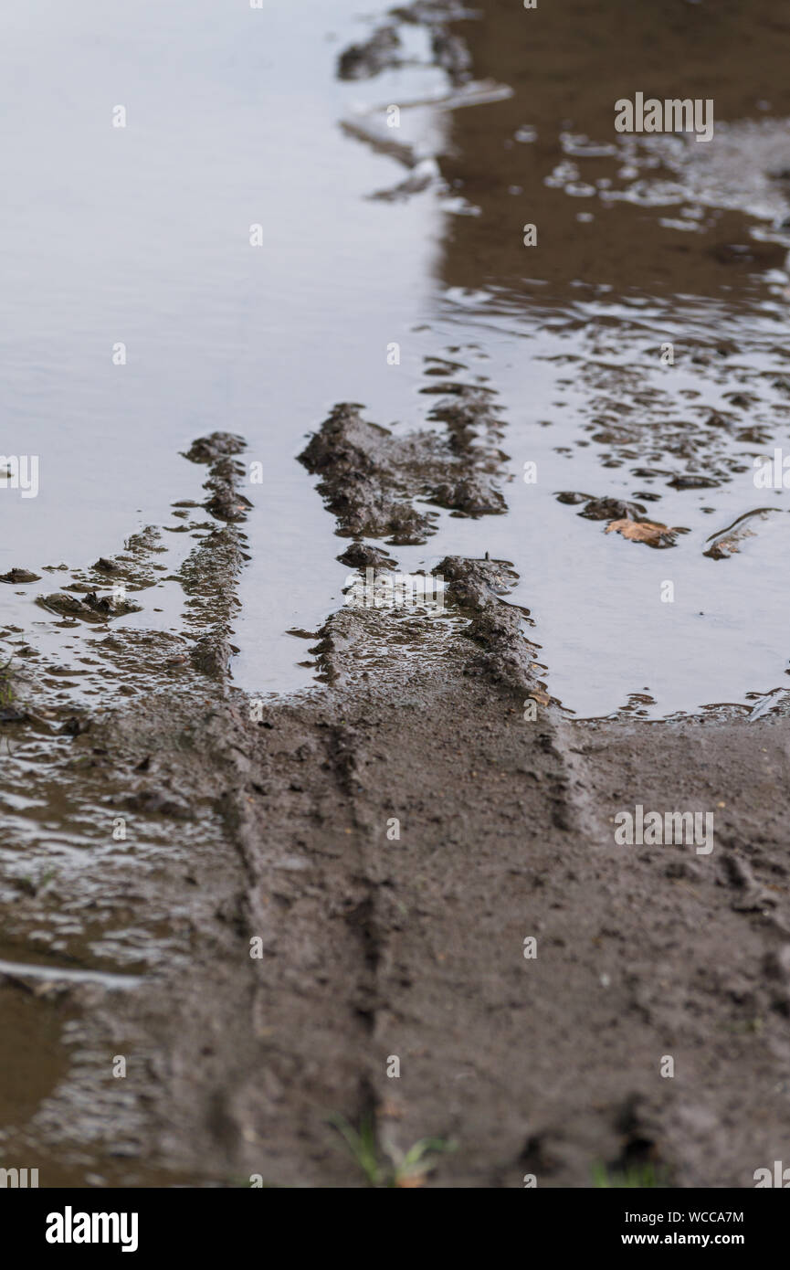 Muddy Puddle Field High Resolution Stock Photography and Images - Alamy