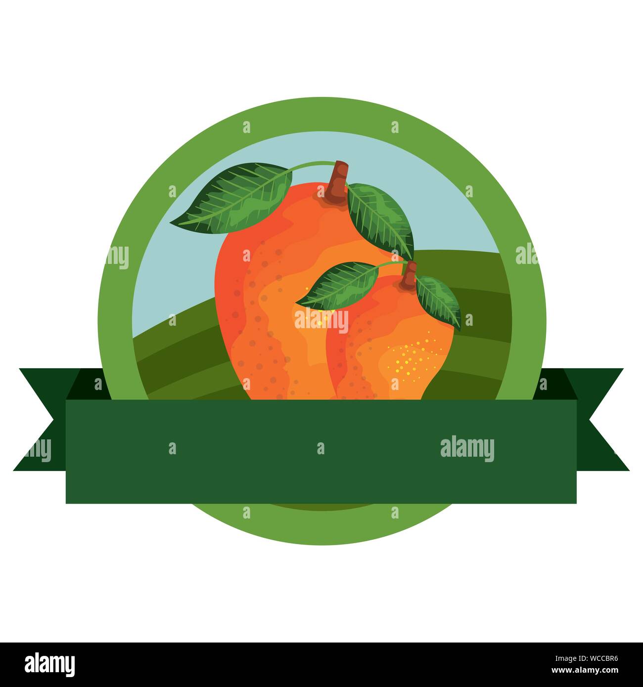 fresh mango fruit with ribbon stamp Stock Vector Image & Art - Alamy