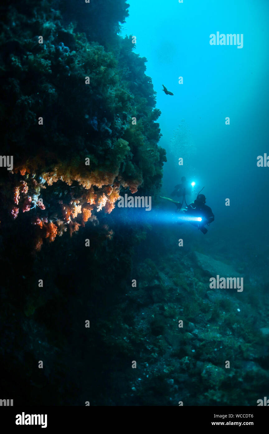 Diving torch hi-res stock photography and images - Alamy