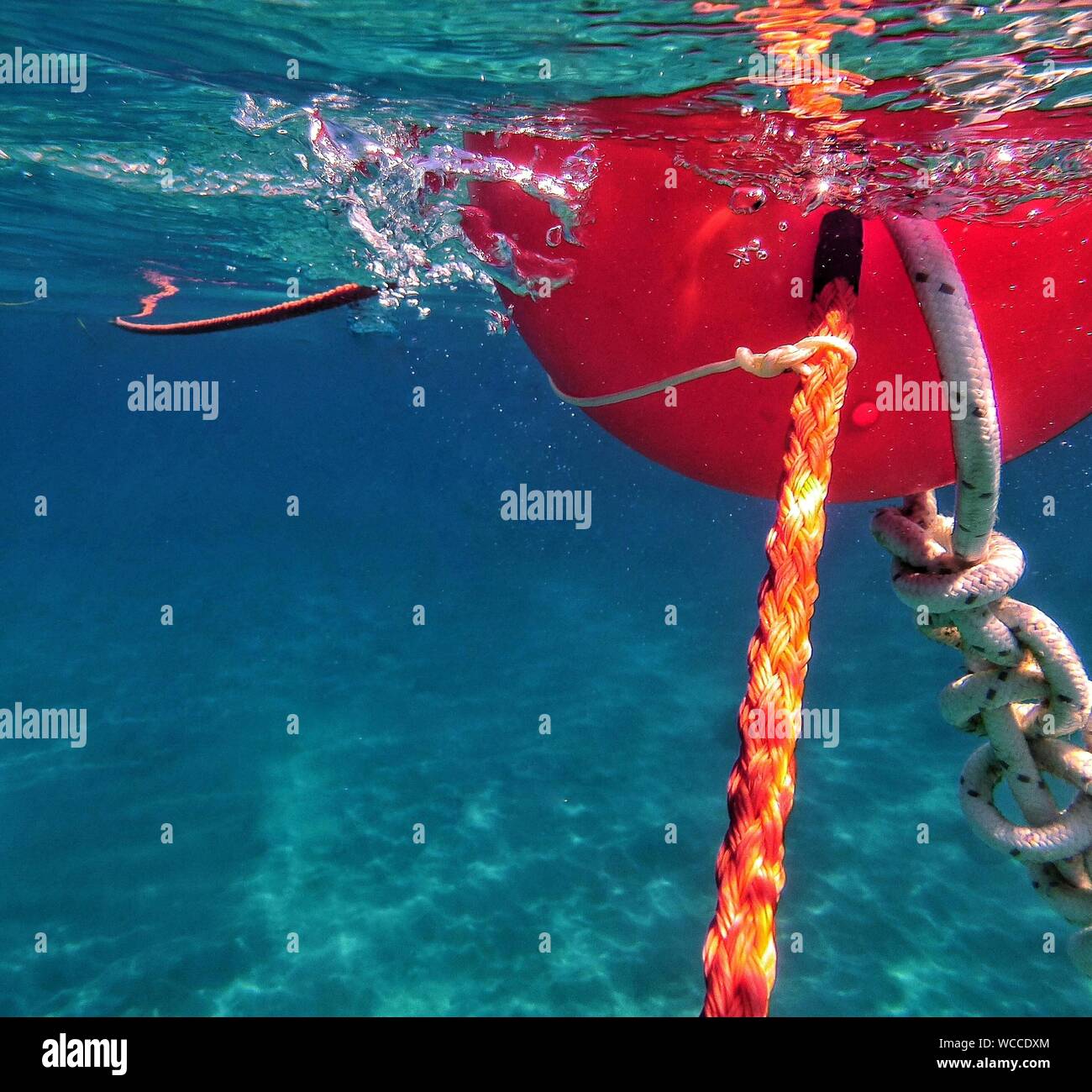 Underwater rope hi-res stock photography and images - Alamy