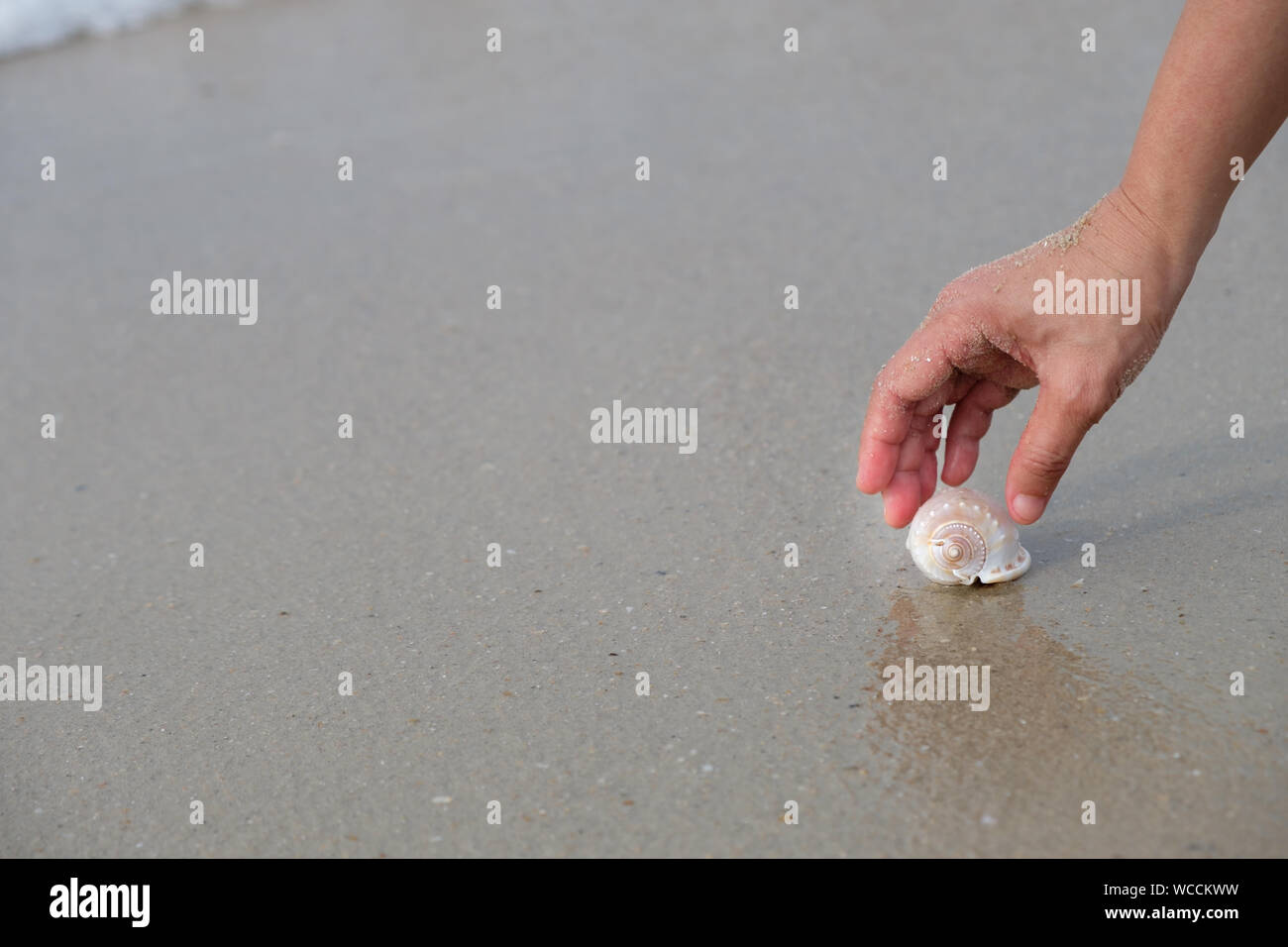 Picking up shell hi-res stock photography and images - Alamy