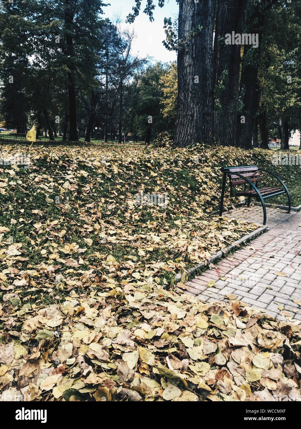 Messy field hi-res stock photography and images - Alamy