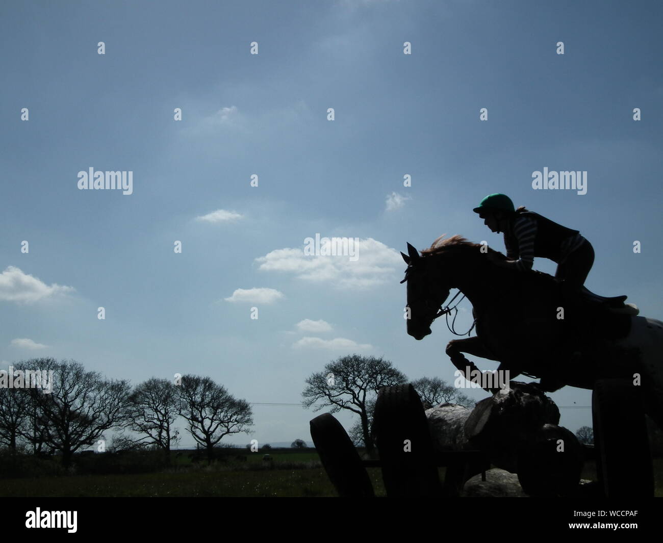 Eventing Horse Silhouette