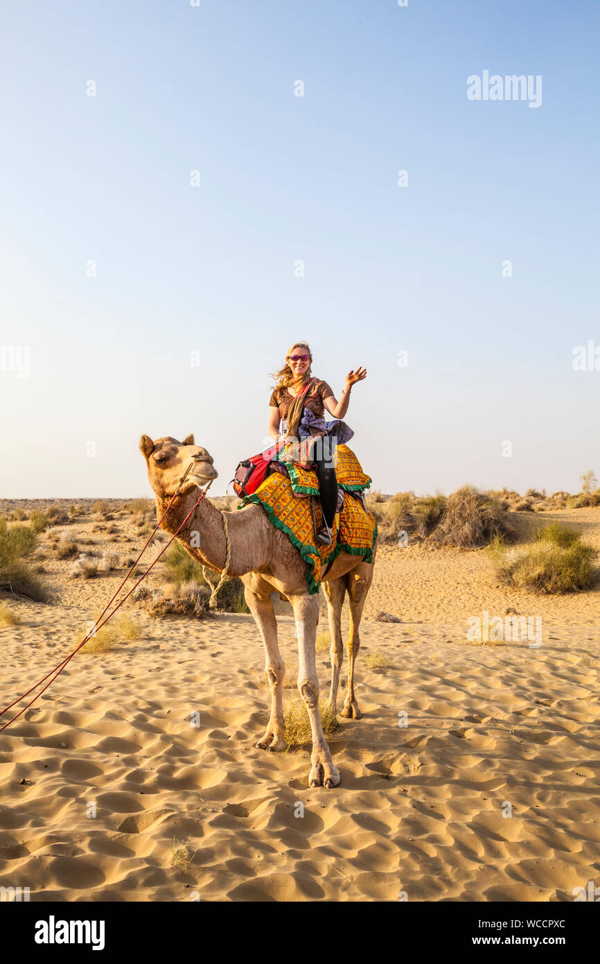 She camels hi-res stock photography and images - Alamy
