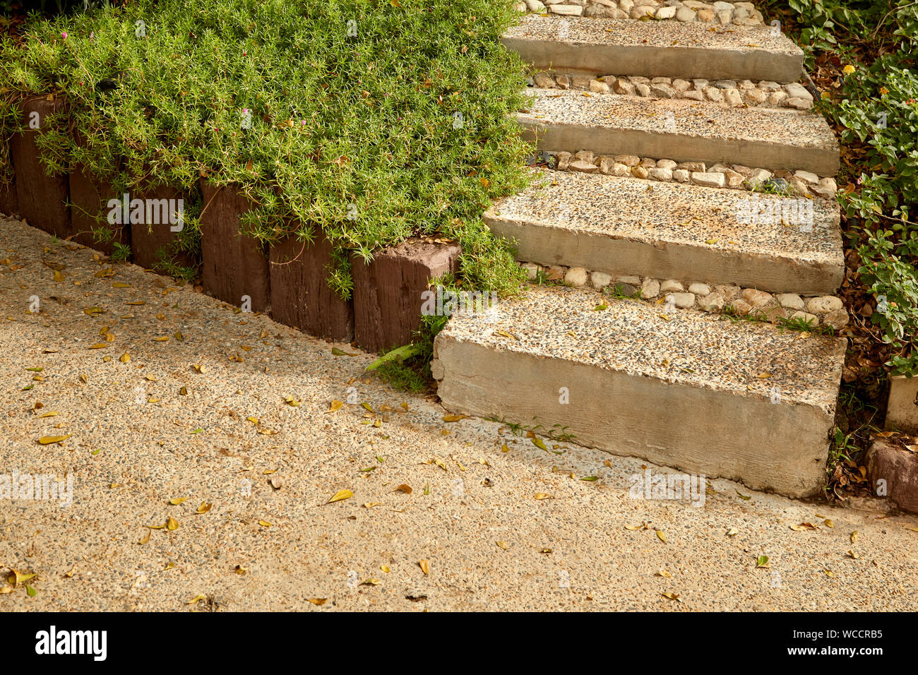 Plants at the farm hi-res stock photography and images - Alamy