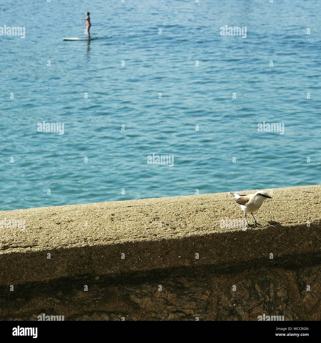 Ledge wave hi-res stock photography and images - Alamy