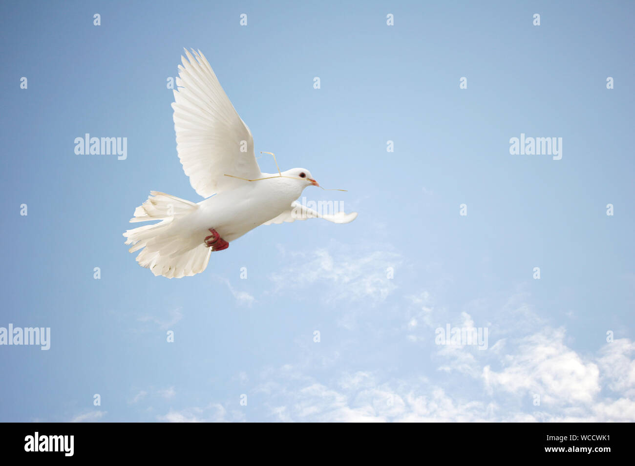 Flying symbols hi-res stock photography and images - Alamy