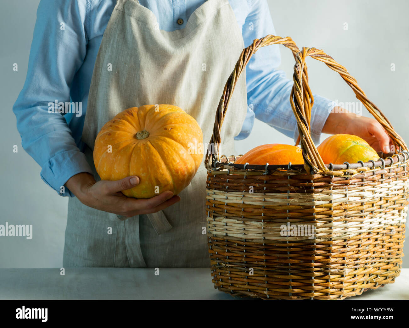 A large basket with pumpkin crop on the table. Female hands hold it ...