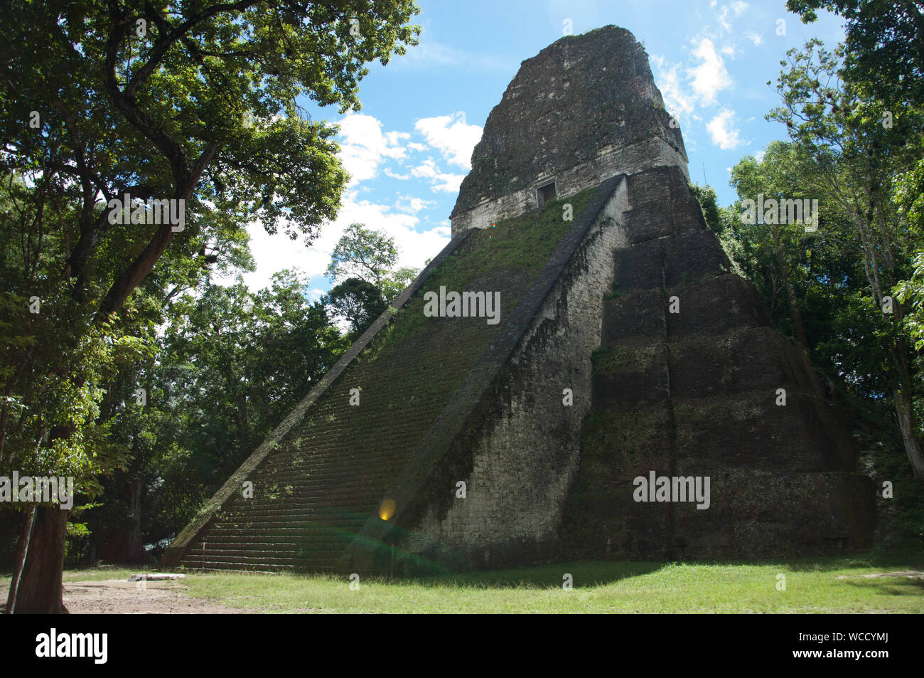 Rainforest pyramid hi-res stock photography and images - Alamy