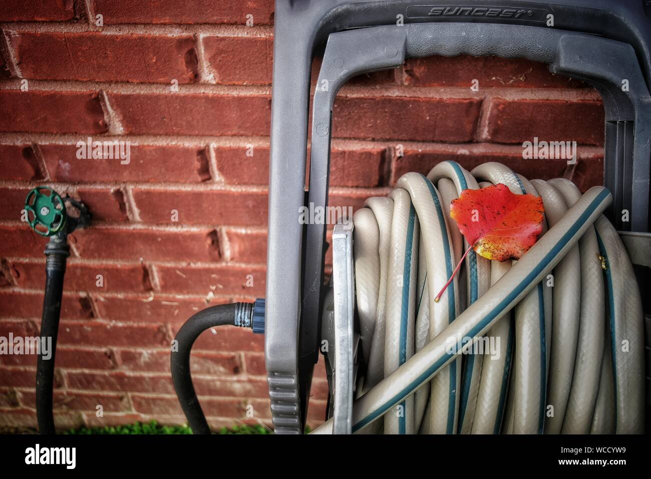 Leaf pipe hi-res stock photography and images - Alamy