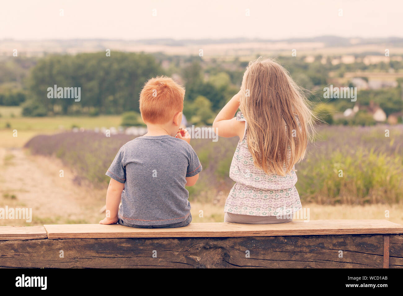 Two boys two girls rear view hi-res stock photography and images - Alamy
